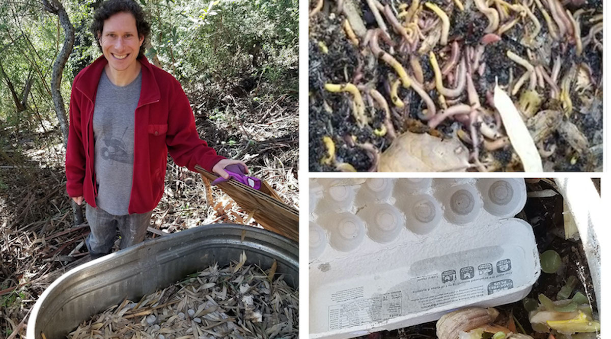 Create a worm bin - Green Change